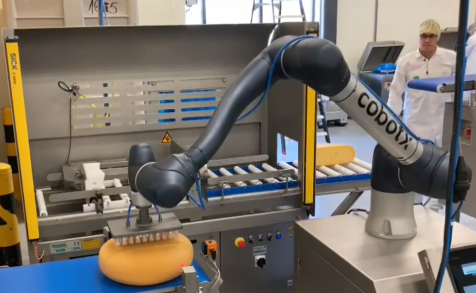 Wat is een cobot? | Cobotx